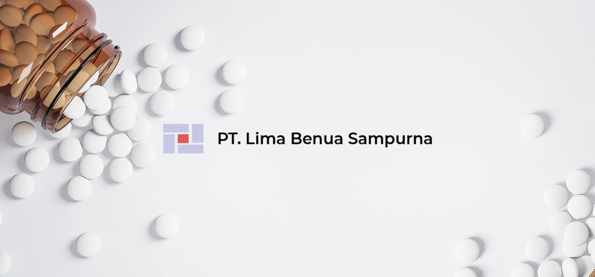 PT. Lima Benua Sampurna